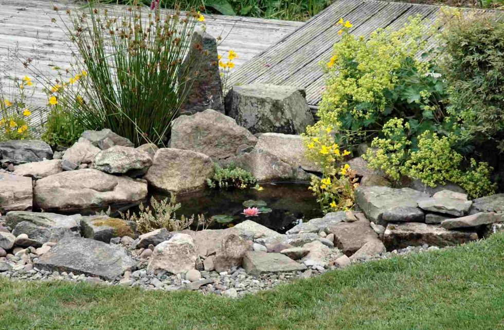Ponds, trees & orchards - A Real Gardener